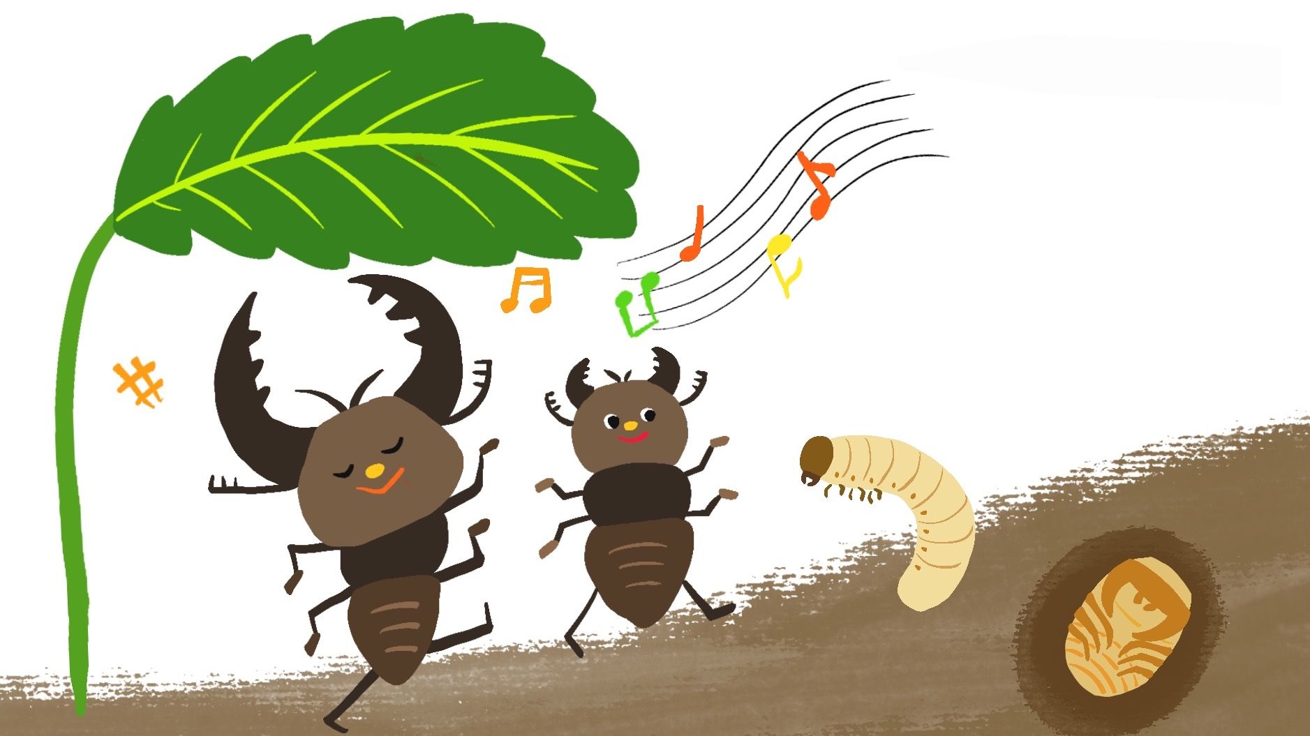 꾸그 - 미술x내가 만드는 Life cycle 사슴벌레의 일생