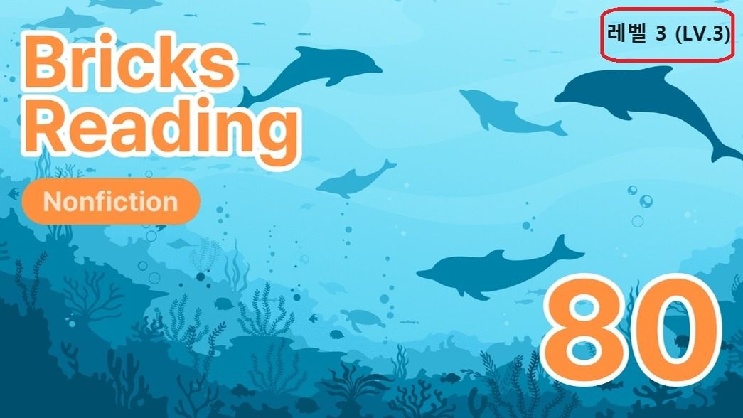 꾸그 - 논픽션, Bricks Reading 80 레벨 3